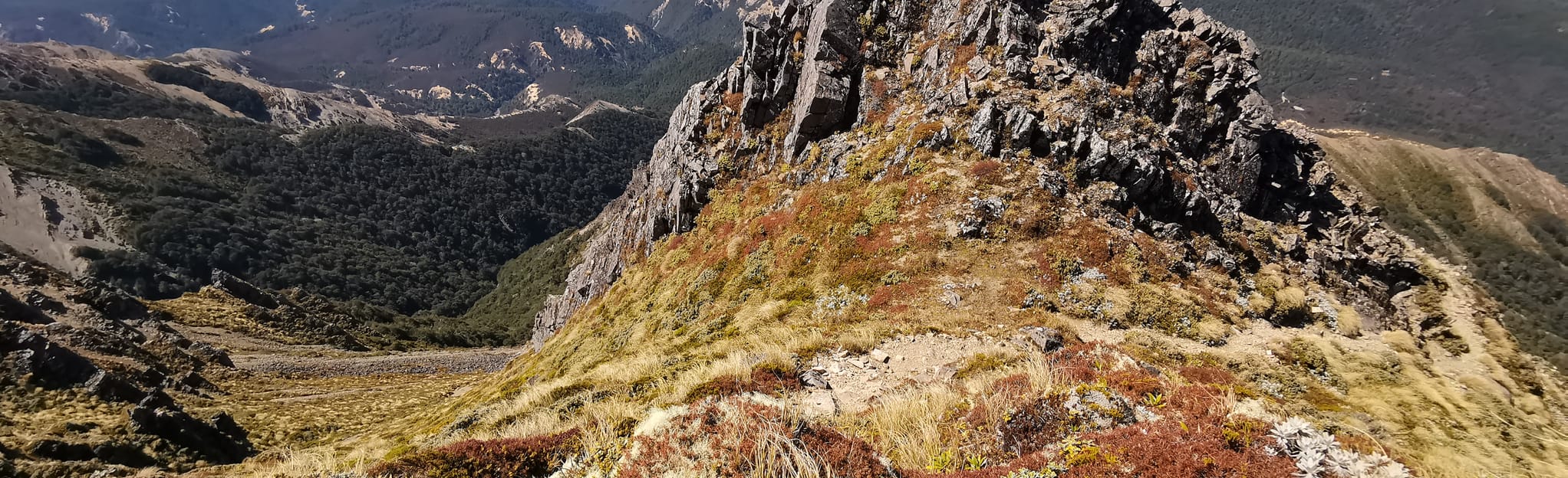 Kaweka J Summit Track, Hawke's Bay, New Zealand - 15 Reviews, Map ...