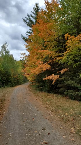 Best Hikes and Trails in Marlborough Forest | AllTrails