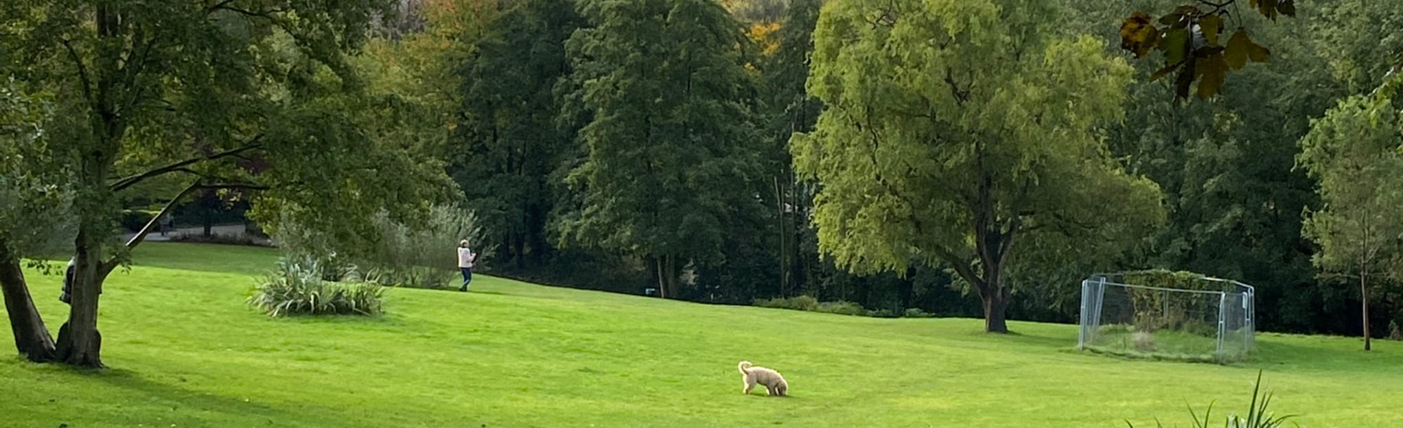 Waterlow Park Circular, London, England - 5 Reviews, Map | AllTrails