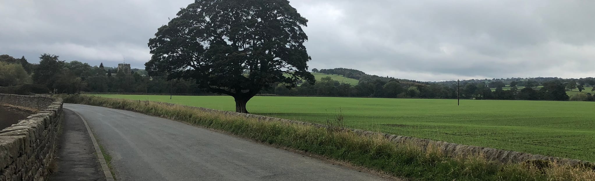 Ripley to Burnt Yates loop, North Yorkshire, England - 28 Reviews, Map ...