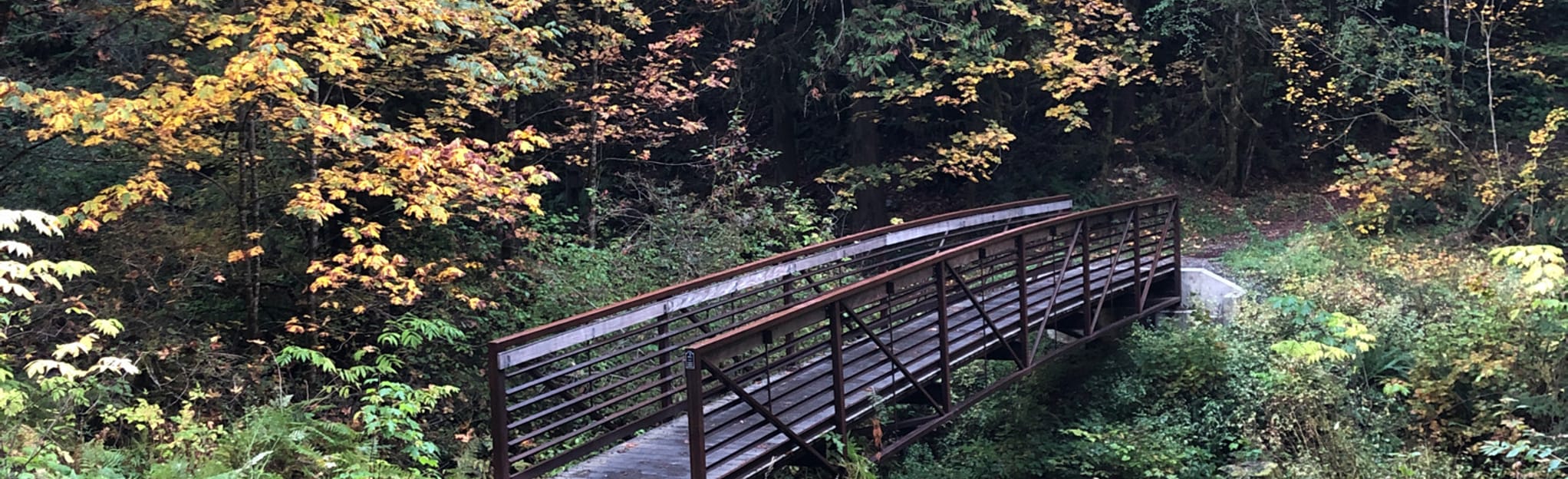 Maple Creek Loop: 252 Reviews, Map - Washington | AllTrails