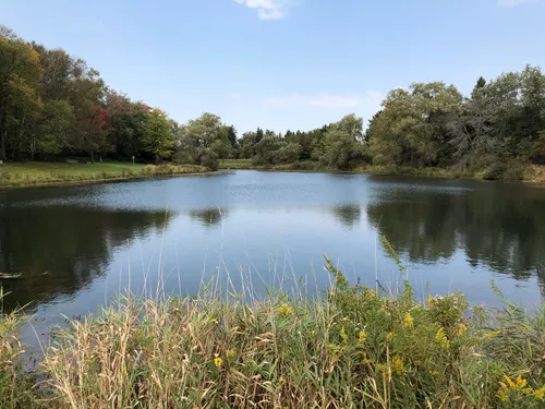 Best Hikes and Trails in Embro Conservation Area | AllTrails