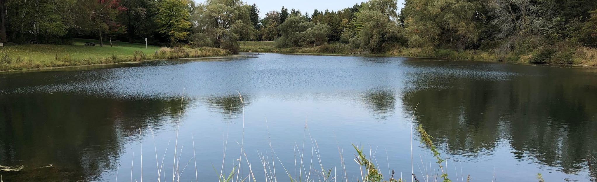 Embro Conservation Area Trail, Ontario, Canada - 132 Reviews, Map ...