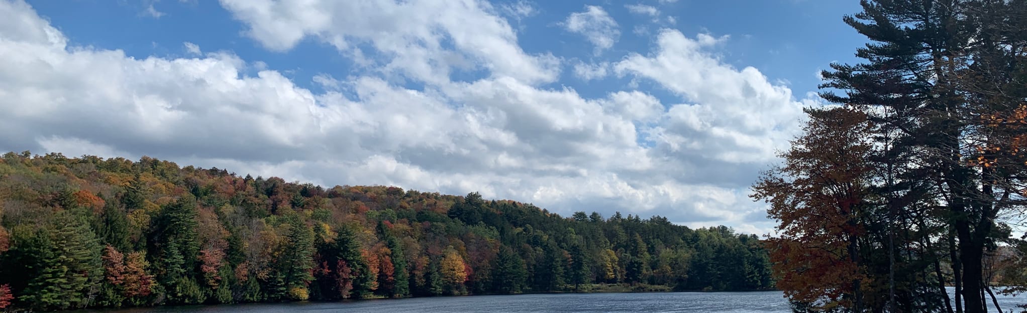 Cherry Plain State Park Loop - New York | AllTrails