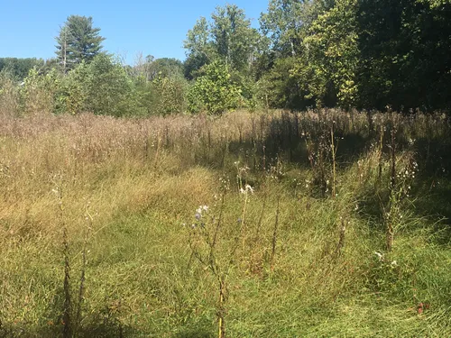 10 Best Trails and Hikes in Silver Spring | AllTrails