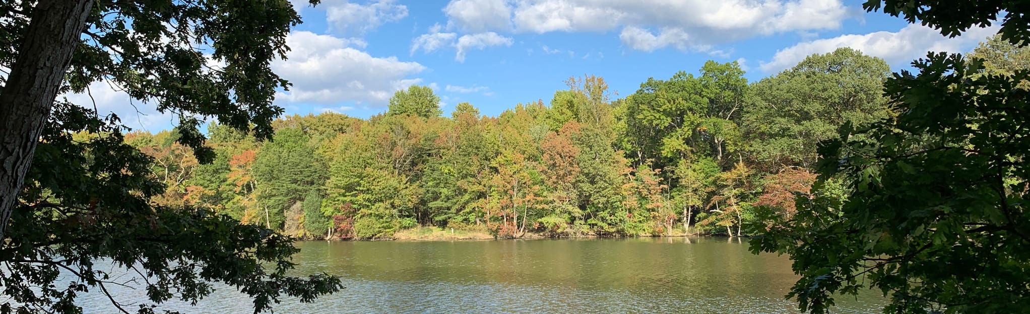 Deep Pond Trail: 252 Reviews, Map - Maryland | AllTrails