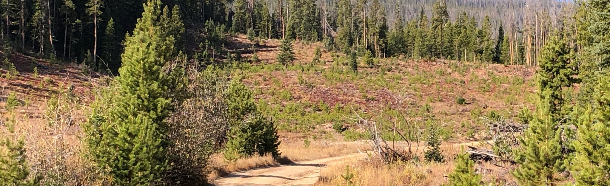 Blue Ridge Summit: 17 Reviews, Map - Colorado | AllTrails