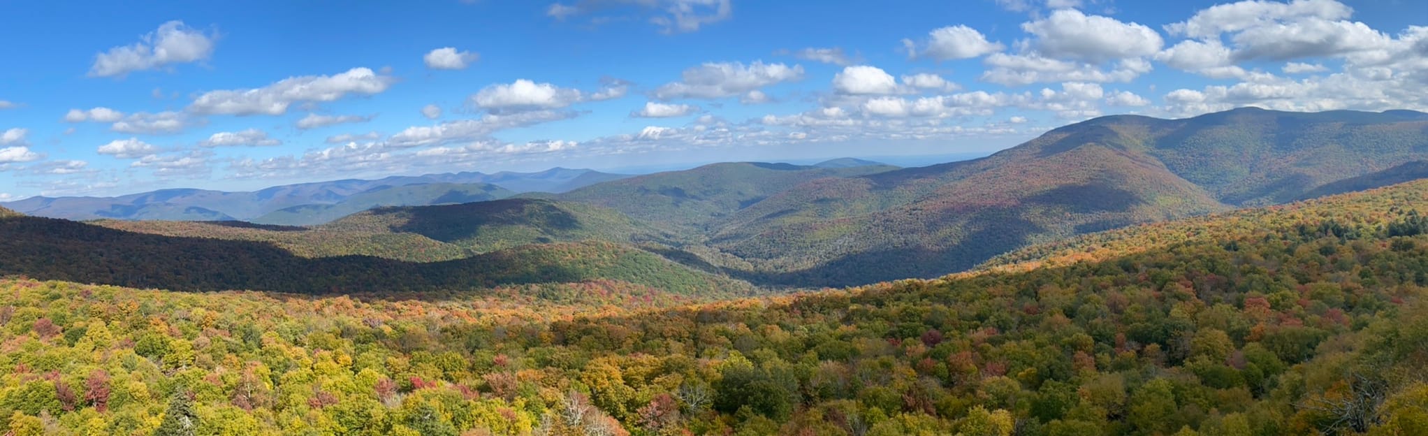 Giant Ledge from Woodland: 250 Reviews, Map - New York | AllTrails