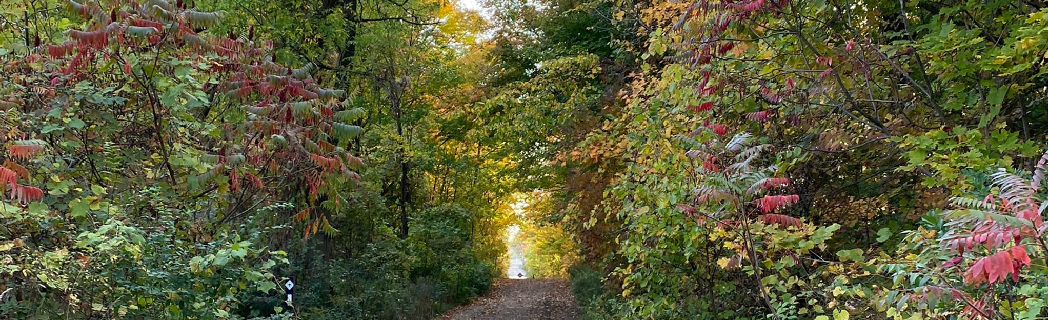 Mount Nemo Quarry Hike, Ontario, Canada - 97 Reviews, Map | AllTrails