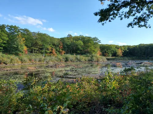 Best Hikes and Trails in Sessions Woods Wildlife Management Area ...