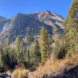 Boulder Falls Trail, Montana - 76 Reviews, Map | AllTrails