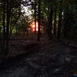 Hinson Lake, North Carolina - 72 Reviews, Map | AllTrails