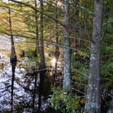 Hinson Lake, North Carolina - 72 Reviews, Map | AllTrails