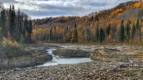 2023 Best 10 Trails and Hikes in Greenview No. 16 | AllTrails