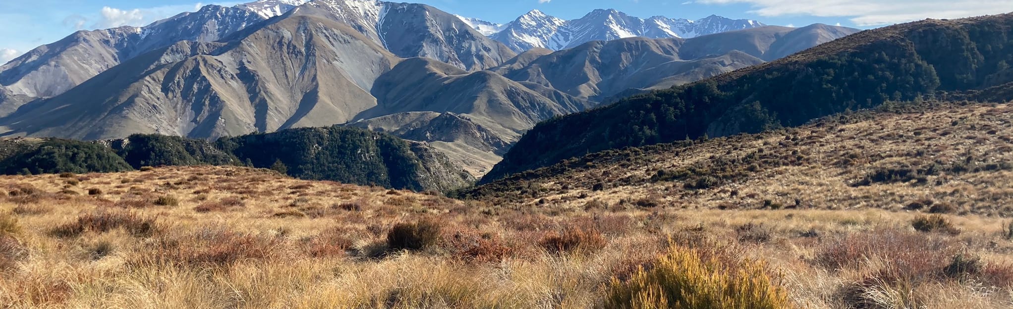 Woolshed Creek Hut to Sharplin Falls Car Park via South Face: 5 Reviews ...