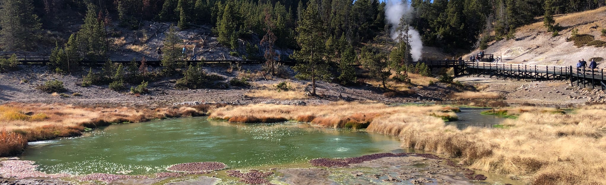 Mud Volcano to Dragon's Mouth Spring - Montana | AllTrails