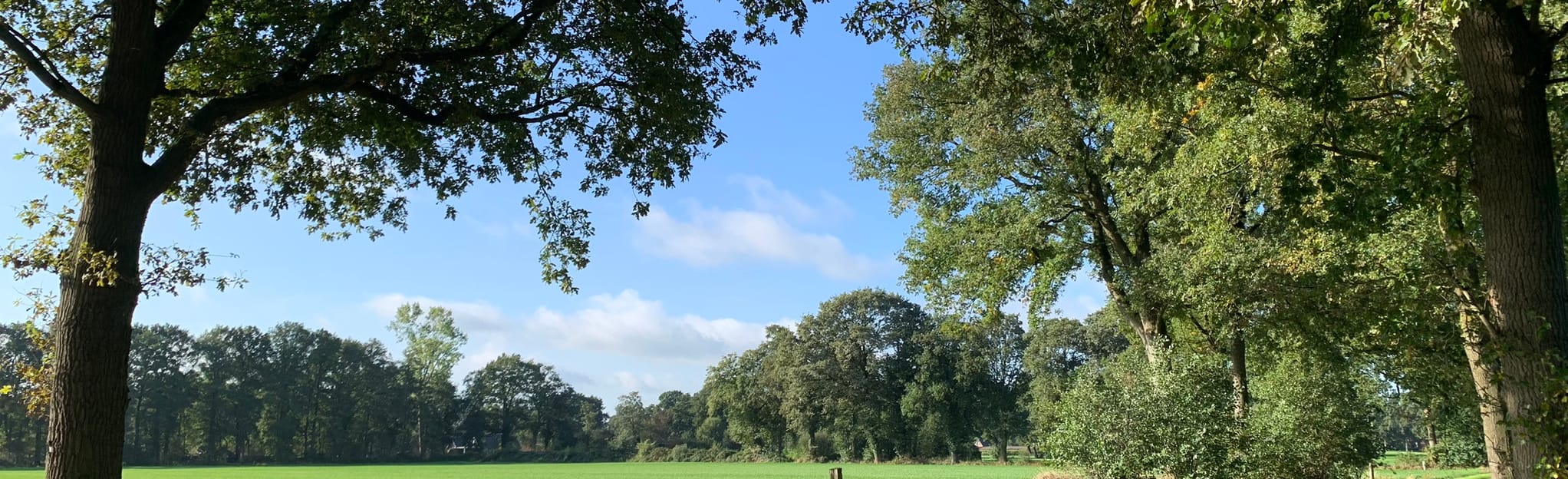 Tubbergen Oranje Wandelroute: 11 foto's - Overijssel, Nederland | AllTrails