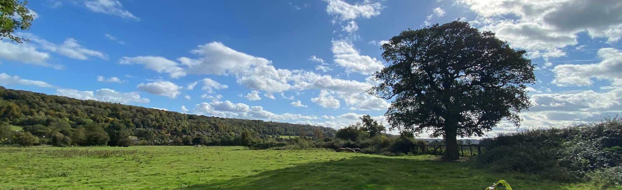 Ashridge Estate Circular, Buckinghamshire, England - 32 Reviews, Map ...