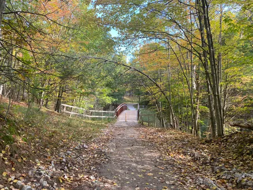 Best 10 Hikes and Trails in Escanaba River State Forest | AllTrails