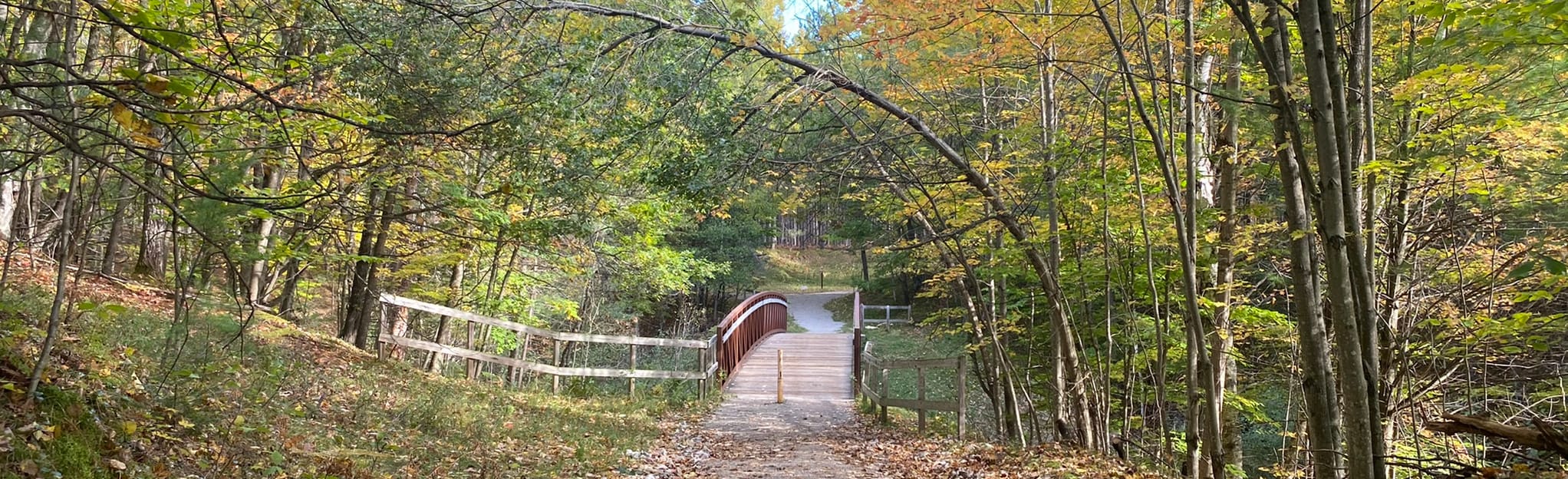 Days River Pathway: 87 foto's - Michigan | AllTrails