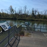 Four Mile Run Trail, Virginia - 425 Reviews, Map | AllTrails