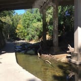 Four Mile Run Trail, Virginia - 425 Reviews, Map | AllTrails