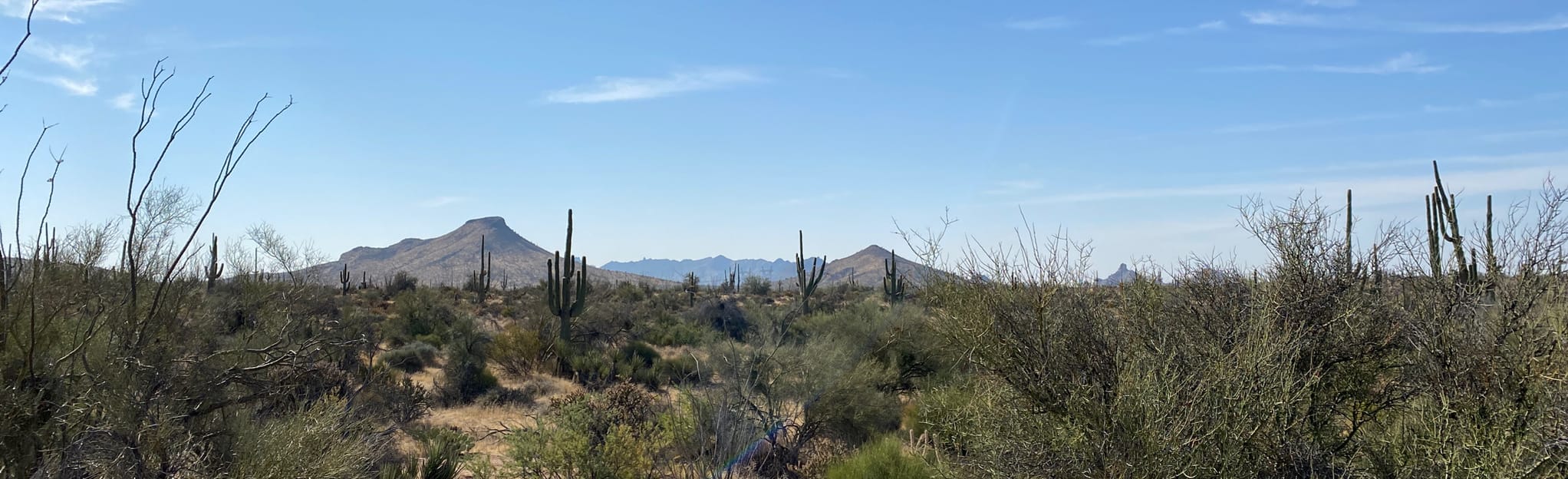 Brown's Ranch Full Perimeter Loop: 22 Reviews, Map - Arizona | AllTrails