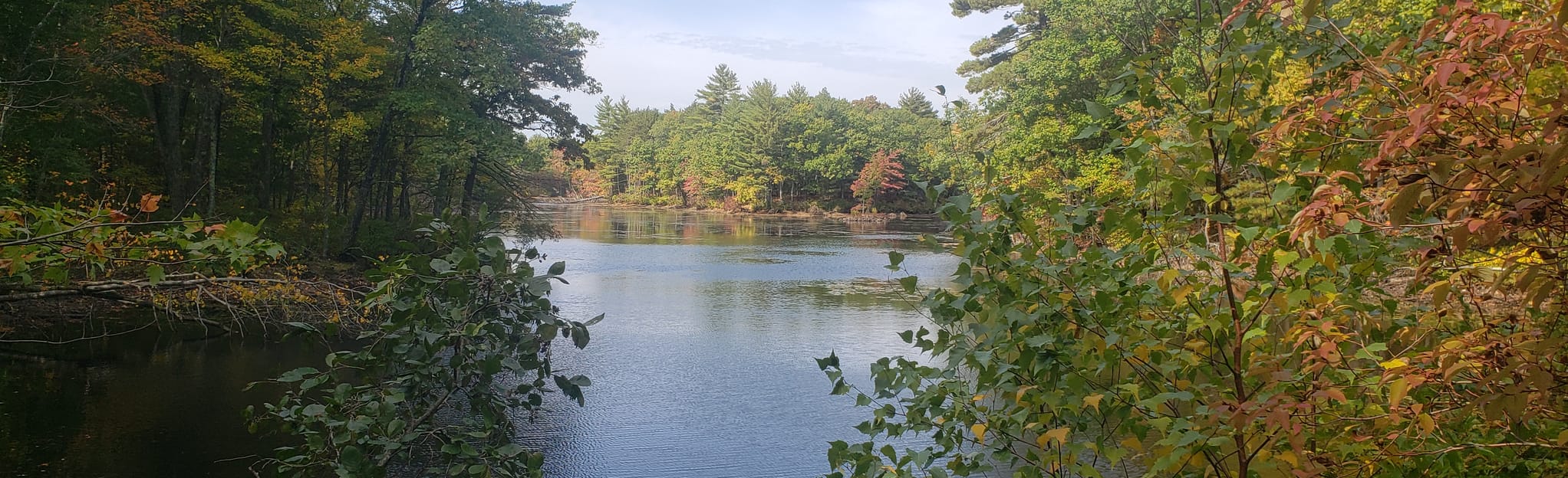 Yellow Diamond - Salem Pond Loop, Massachusetts - 60 Reviews, Map ...