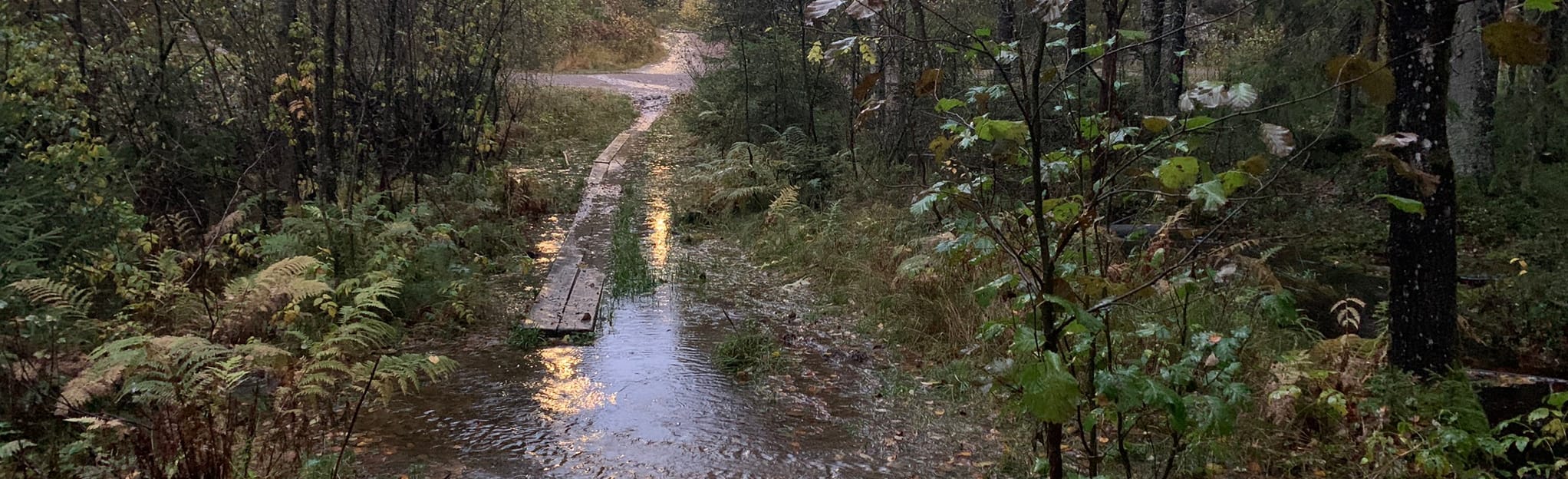 Oppsal - Mariholtet - Skullerud : 82 Photos - Oslo, Norvège | Randonnée ...