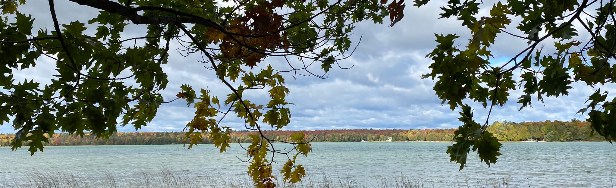 Europe Bay Trail Loop : 102 Reviews, Map - Wisconsin | AllTrails