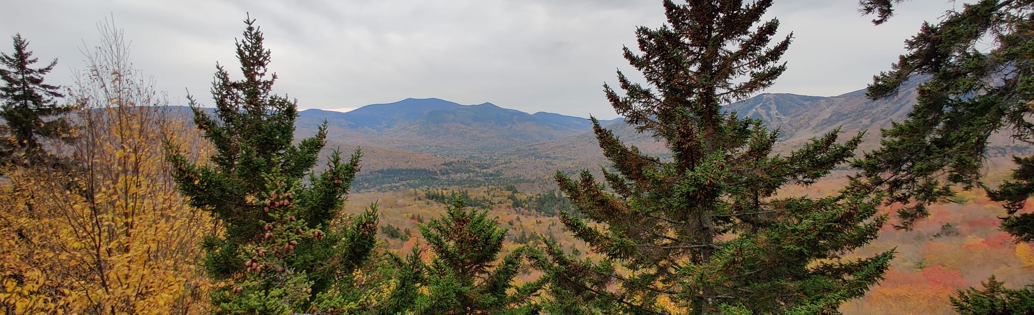 Goodrich Rock Trail via Greeley Ponds Trail, New Hampshire - 291 ...