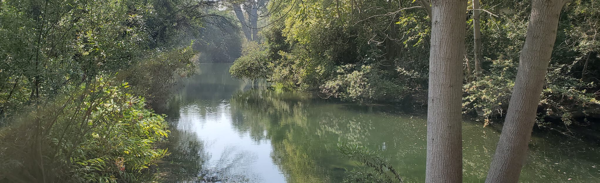 El Dorado Park Nature Trail: 1,356 Reviews, Map - California | AllTrails