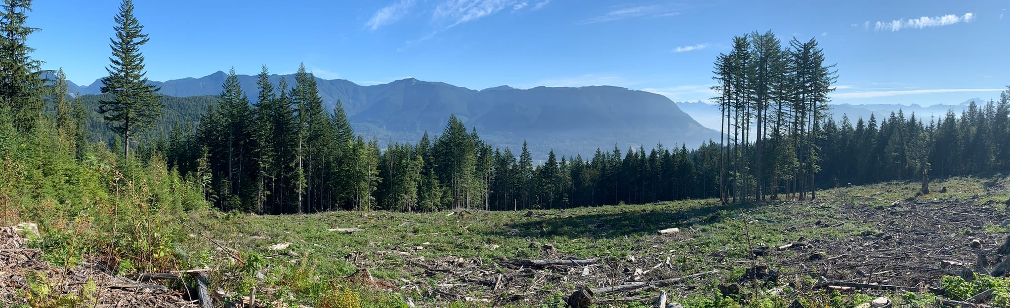 Bear Mountain Loop, British Columbia, Canada - 601 Reviews, Map | AllTrails