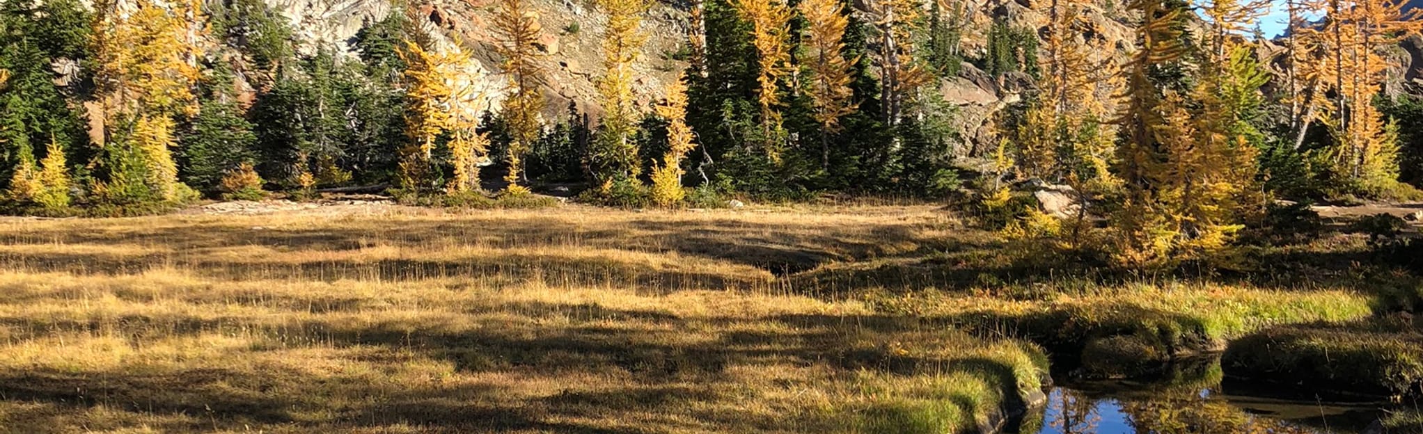 Lake Ingalls: 2,650 Reviews, Map - Washington | AllTrails