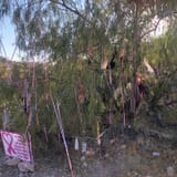 Secret Pass Loop, Arizona - 80 Reviews, Map | AllTrails