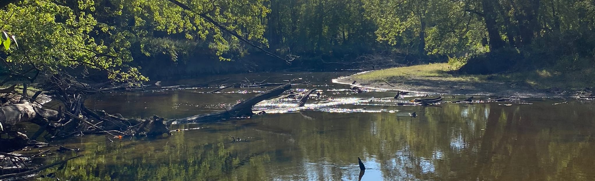 Sangamon River Paddle Route, Illinois - 2 Reviews, Map | AllTrails