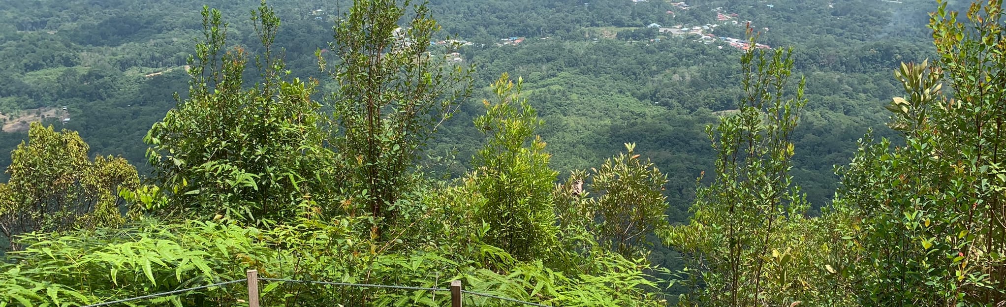 Gunung Jagoi via Kampung Sibobog, Sarawak, Malaysia - Map, Guide ...