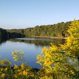 Heath Lake Loop, Georgia - 402 Reviews, Map | AllTrails