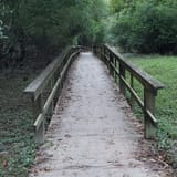 Heath Lake Loop, Georgia - 402 Reviews, Map | AllTrails