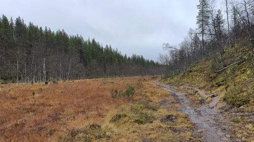 Best Short Trails in Urho Kekkonen National Park | AllTrails