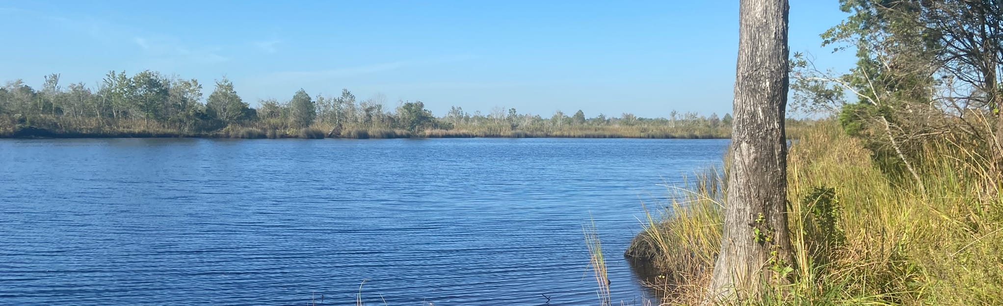 White Oak River Paddle Route via Long Point, North Carolina - 17 ...