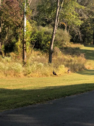 Best Hikes and Trails in Rend Lake | AllTrails
