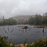 Franconia Brook Trail, New Hampshire - 249 Reviews, Map | AllTrails