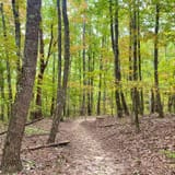 Beckwith Point Trail, Tennessee - 156 Reviews, Map | AllTrails