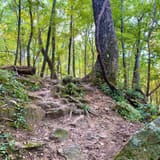 Beckwith Point Trail, Tennessee - 156 Reviews, Map | AllTrails