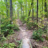 Beckwith Point Trail, Tennessee - 156 Reviews, Map | AllTrails