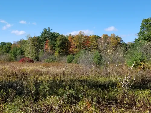 10 Best Trails and Hikes in Durham | AllTrails