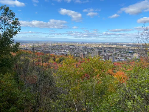 10 Best Trails and Hikes in Montreal | AllTrails