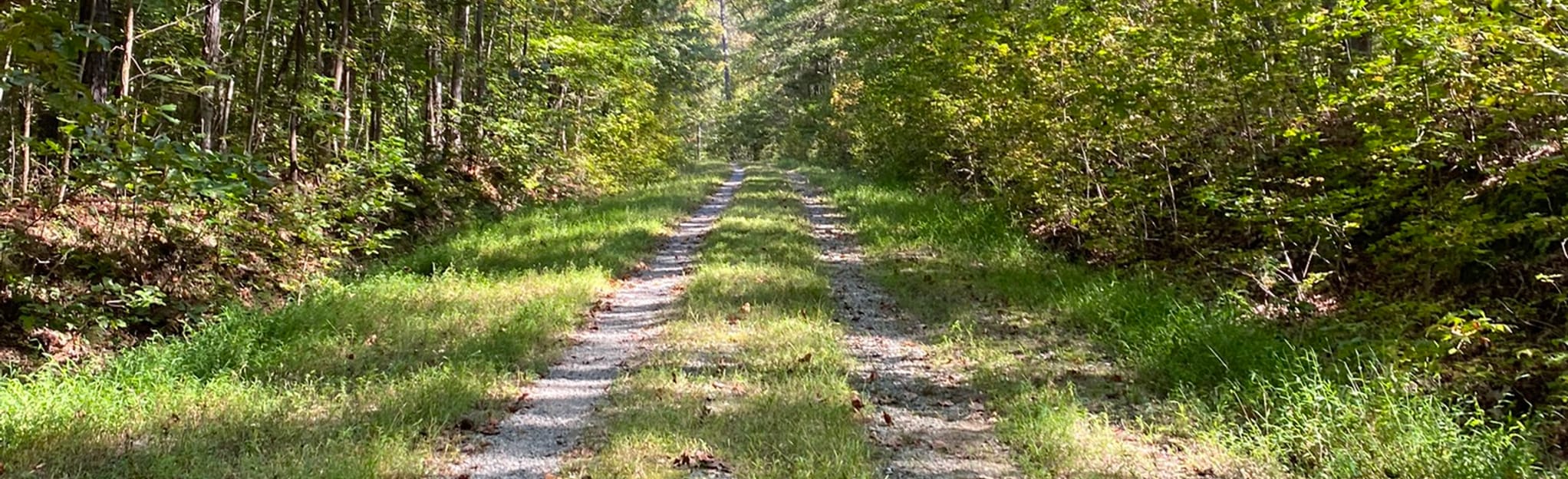 Powerline and Swift Creek Trails Loop, Virginia - 428 Reviews, Map ...