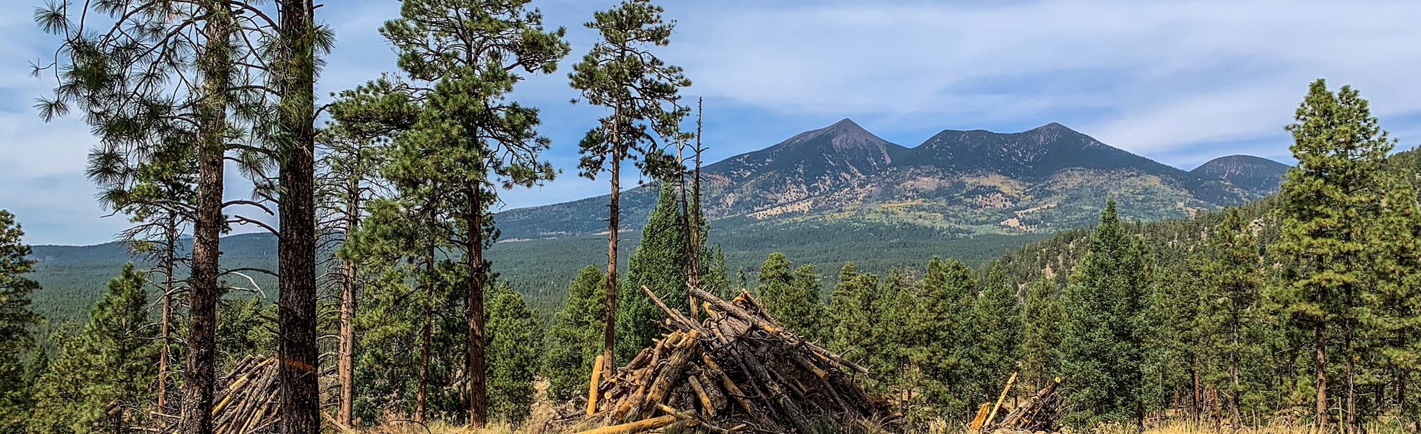 Rocky Ridge Trail Loop, Arizona - 302 Reviews, Map | AllTrails